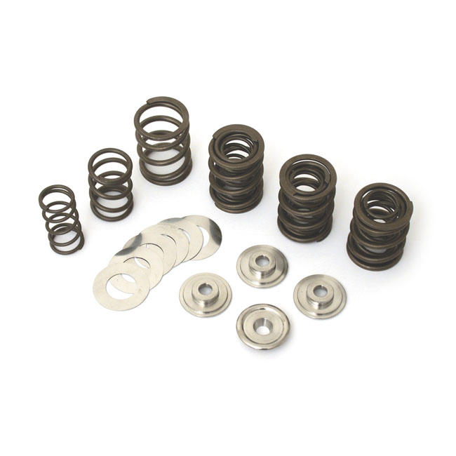513994 - MANLEY VALVE SPRING KIT. THIN STEM - www.motorcyclestorehouse.com