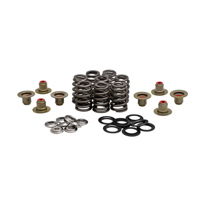 588695 - KPMI, .550" high lift valve spring kit. Titanium - www ...